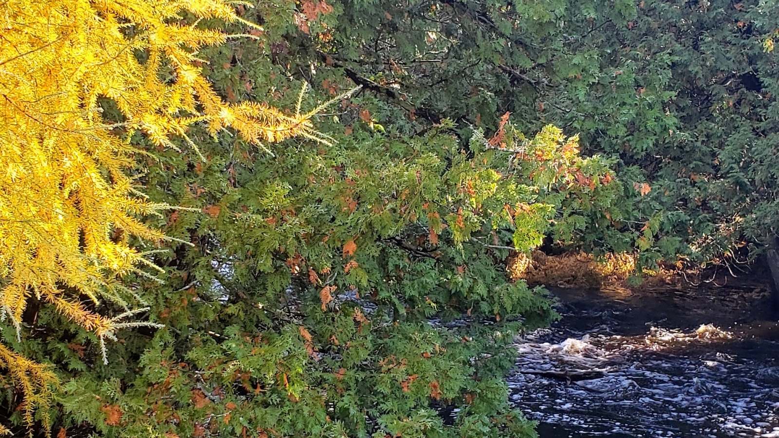 Is It Cheaper To Live In A Rural Area? 5 Ways To Caution You