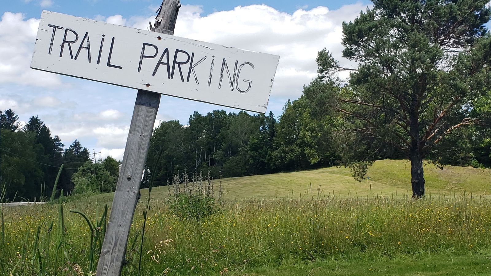 Discover 7 Free Ways To Find Community News In Rural Areas