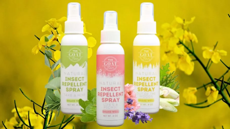 Banishing Mayflies: 5 Tips For A Bug Free Lake Experience