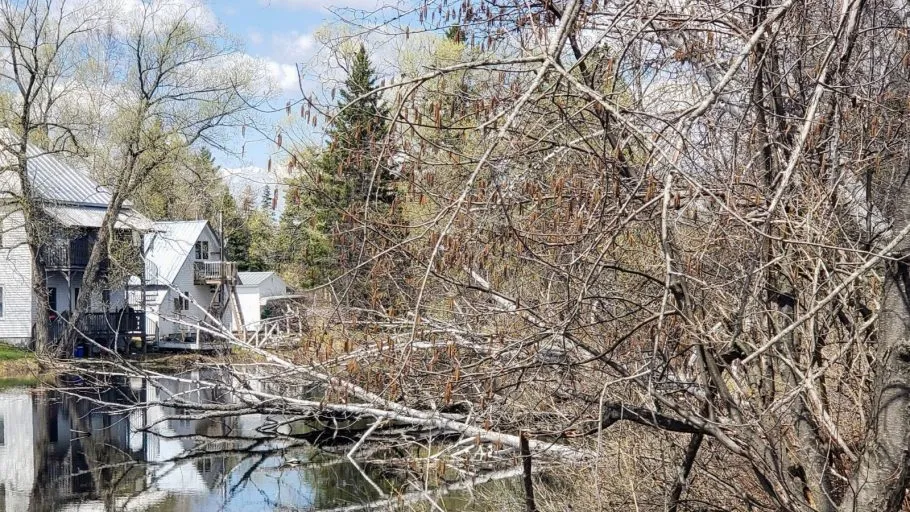 My Rural Life 3 Years Later - 6 Secrets Of The Slow Lane