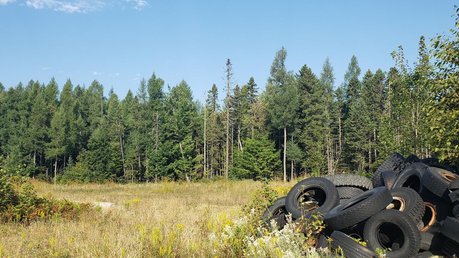 Driving In Rural Towns: 5 Important Things To Watch Out For