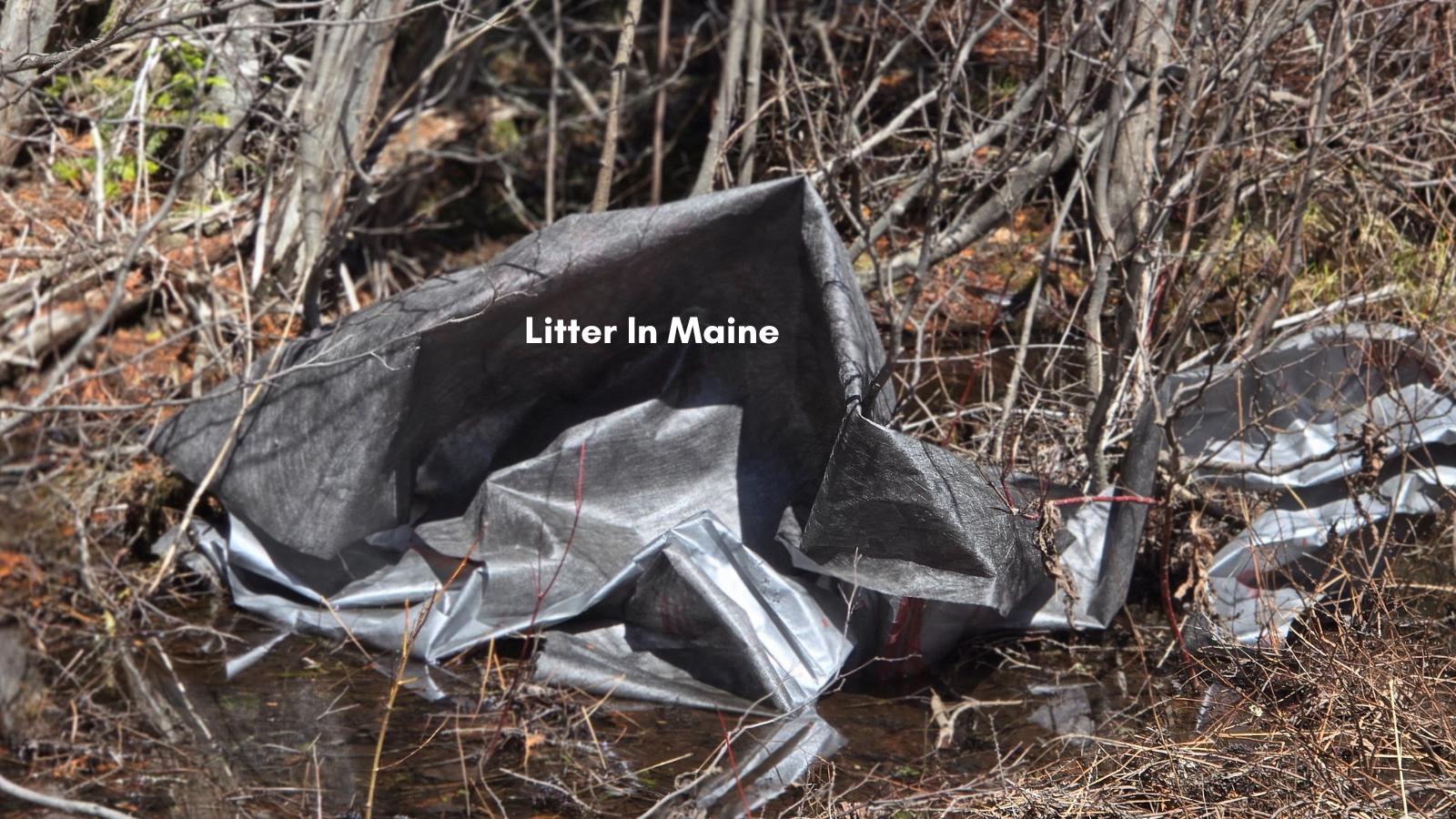 Who Is Responsible For Littering From A Motor Vehicle In 2026?
