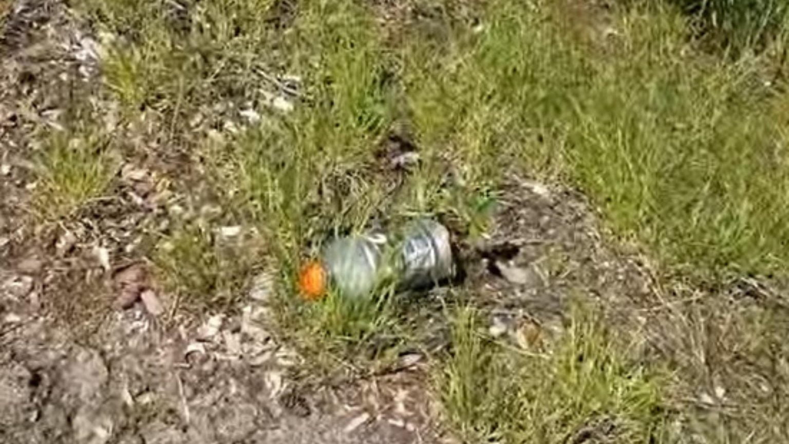 Who Is Responsible For Littering From A Motor Vehicle In 2024