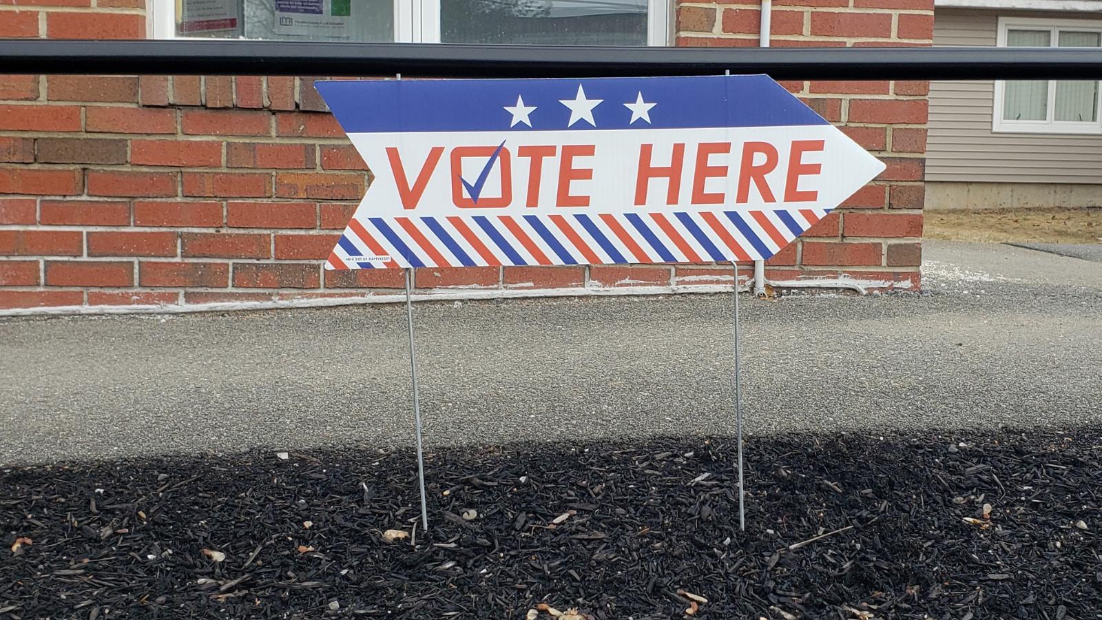 Rural Voter Turnout 2024: Record Numbers Explained