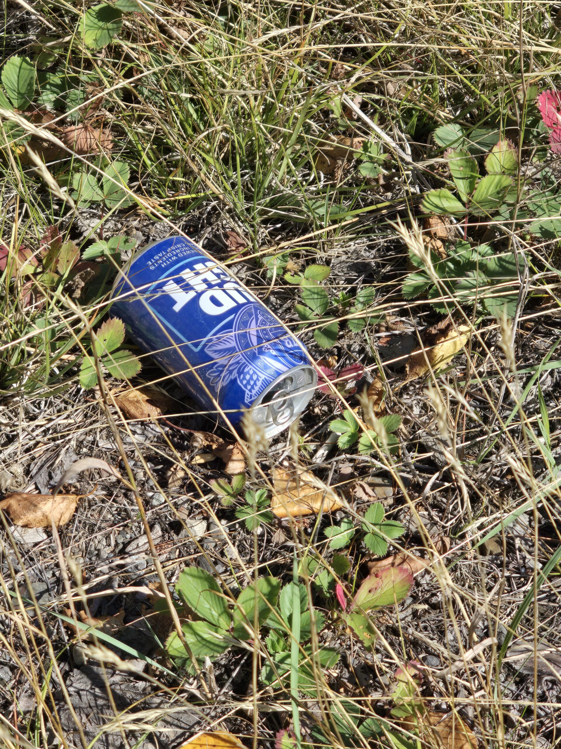 Who Is Responsible For Littering From A Motor Vehicle In 2026?