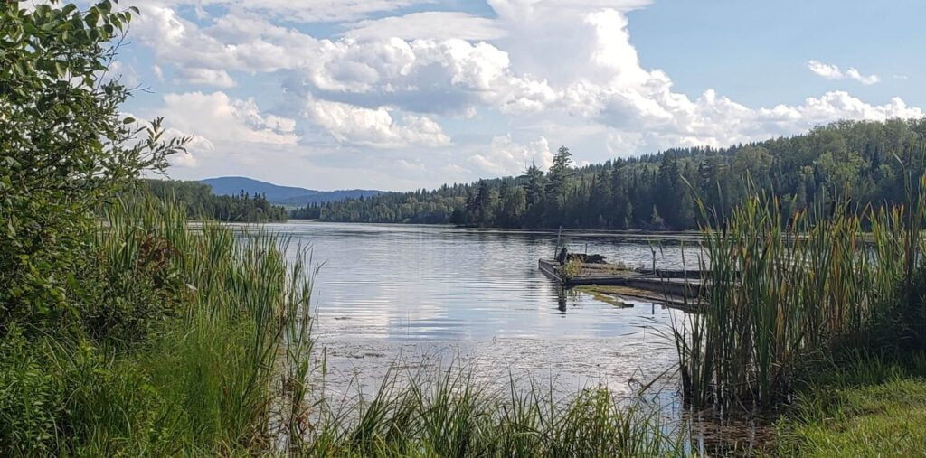 Embrace Rural Area Life: Pros And Cons Explained